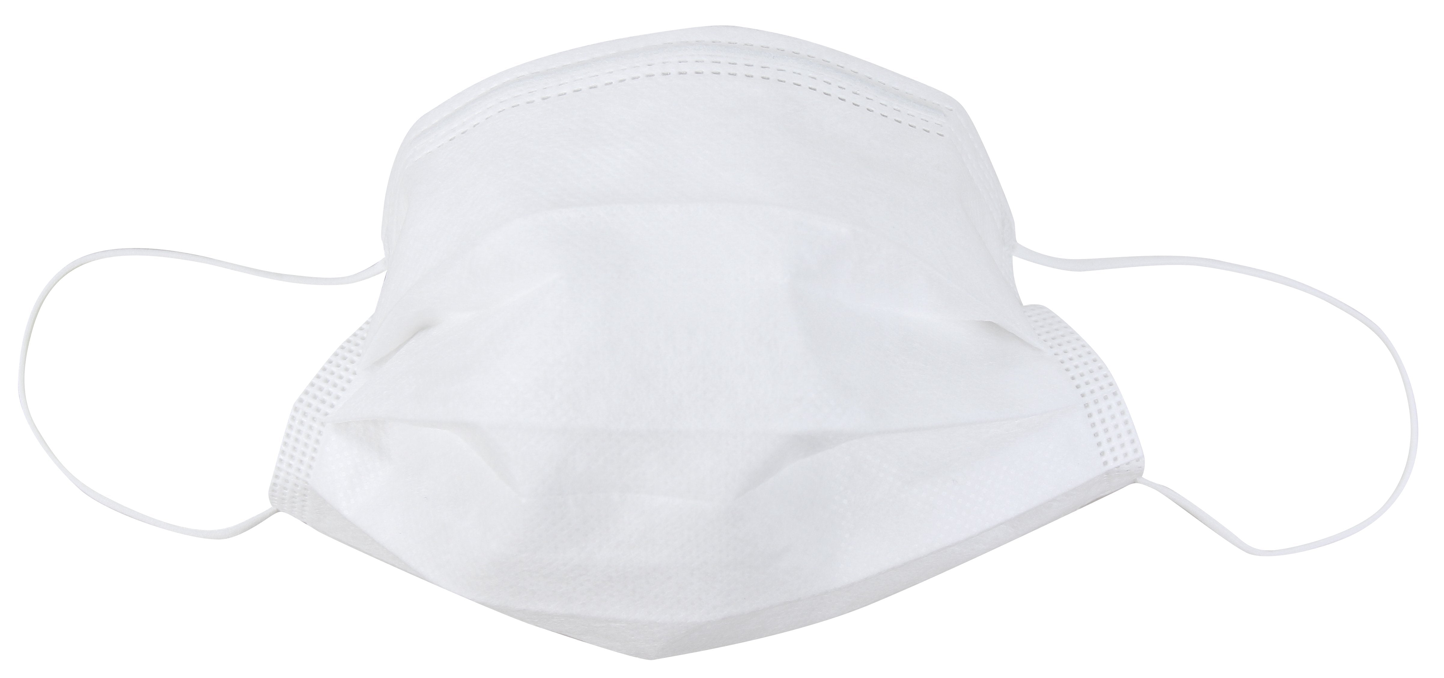 Disposable 3 Ply Face Mask in White, 10 PK (non-medical) – The ...
